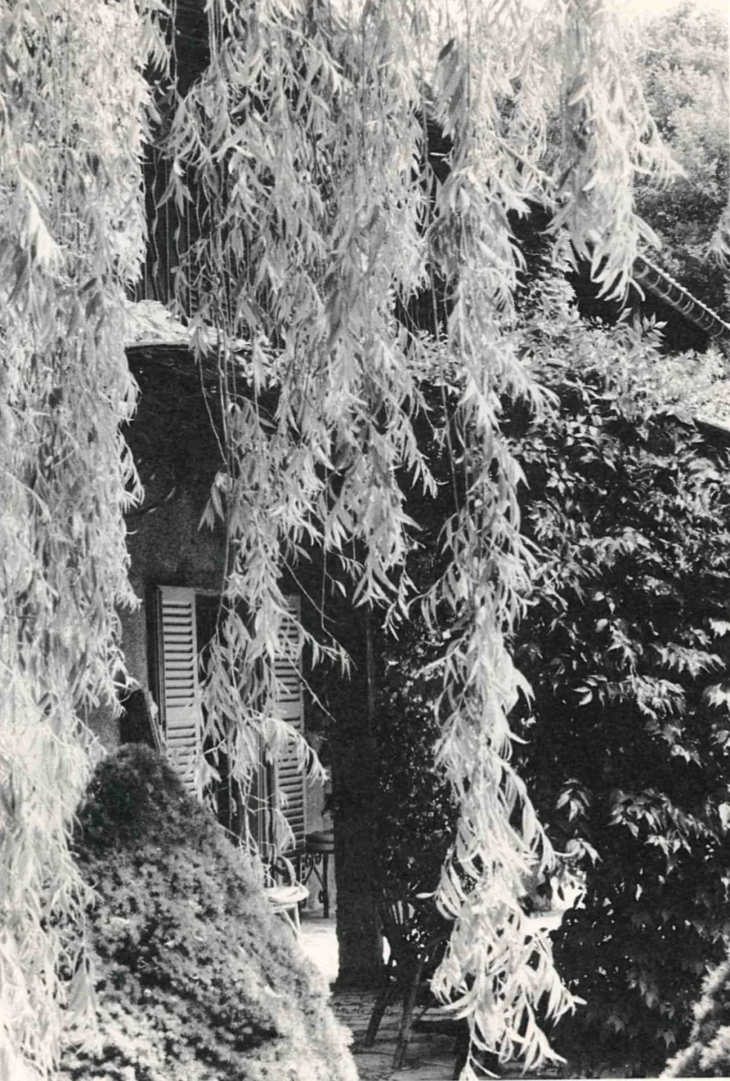 Bokep indo dowload this girl's facial feature is noticeably